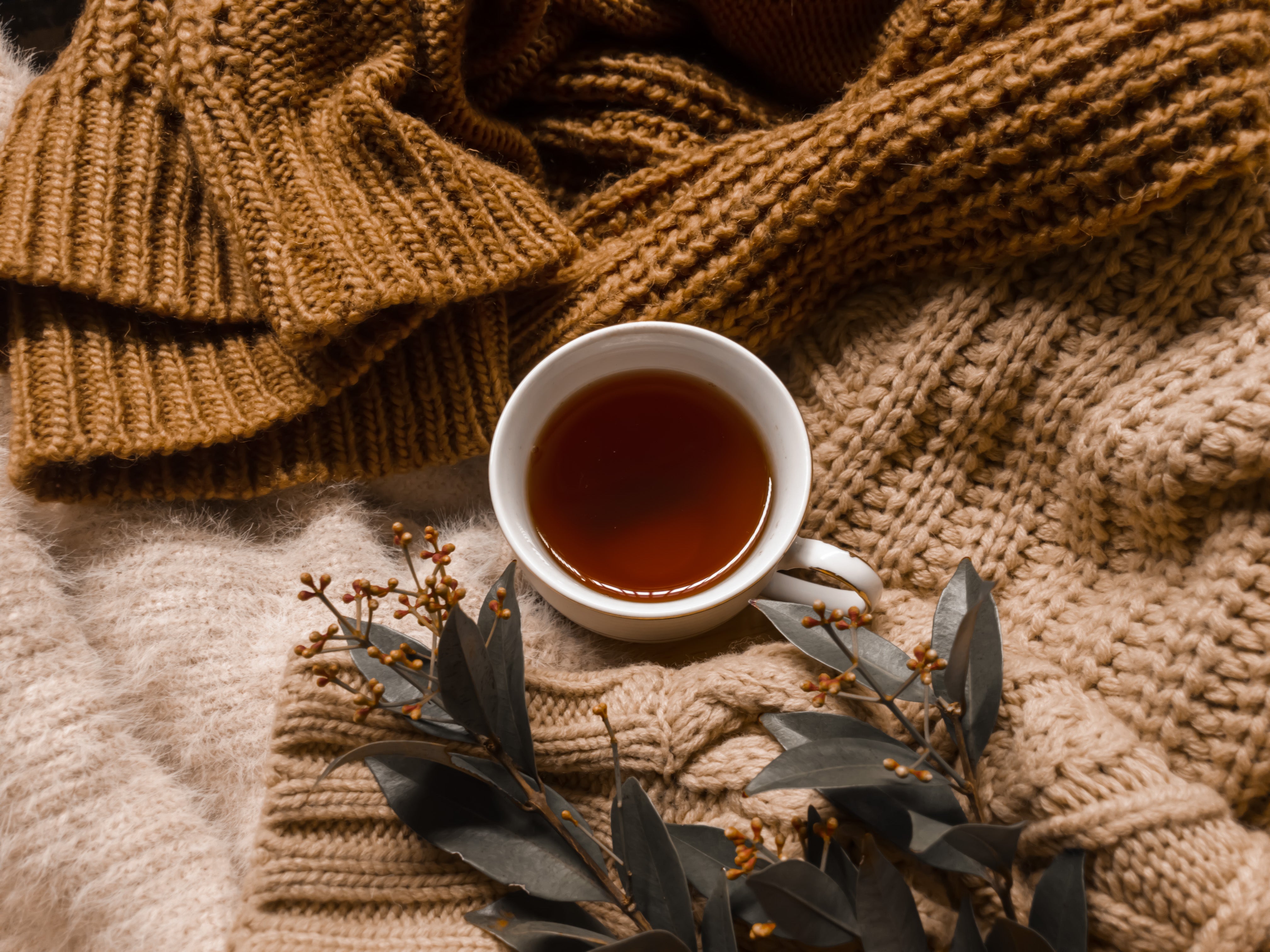 Bloom & Brew | Beautiful tea, Curated with care